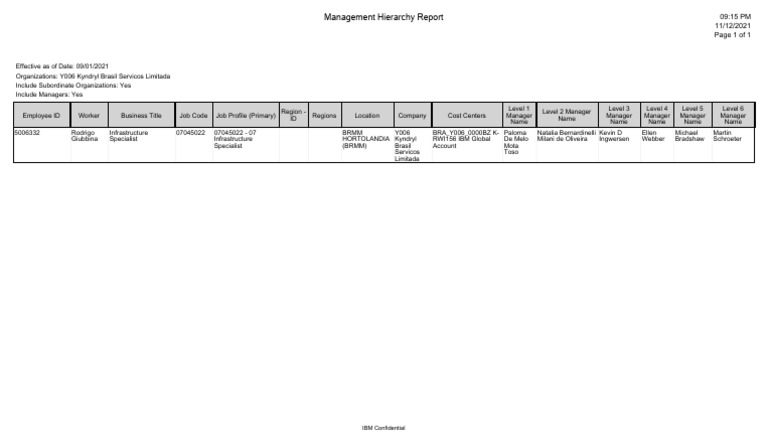 Management Hierarchy Report | PDF