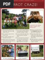 Carrots | PDF | Carrot | Agriculture