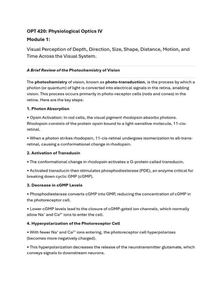 OPT 420 - Physiological Optics IV (Visual Perceptions) | PDF ...