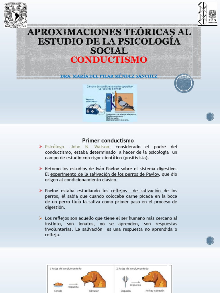 PRESENTACIÓN_CONDUCTISMO Y NEOCONDUCTISMO | PDF | Reforzamiento ...