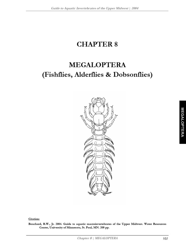 Megaloptera | PDF