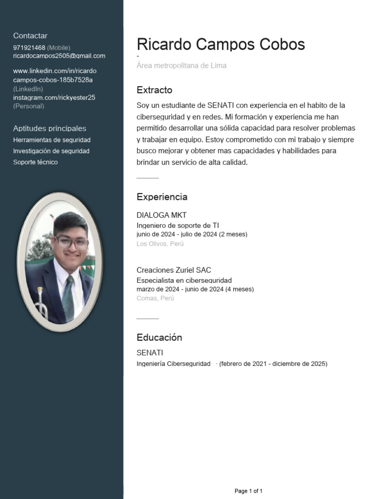 CV Ricardo Campos | PDF