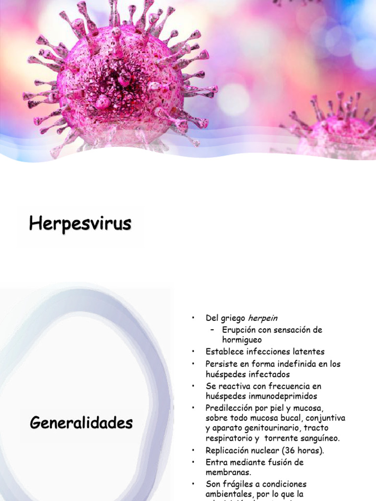 3 Herpesvirus | PDF | Virus | Microbiología