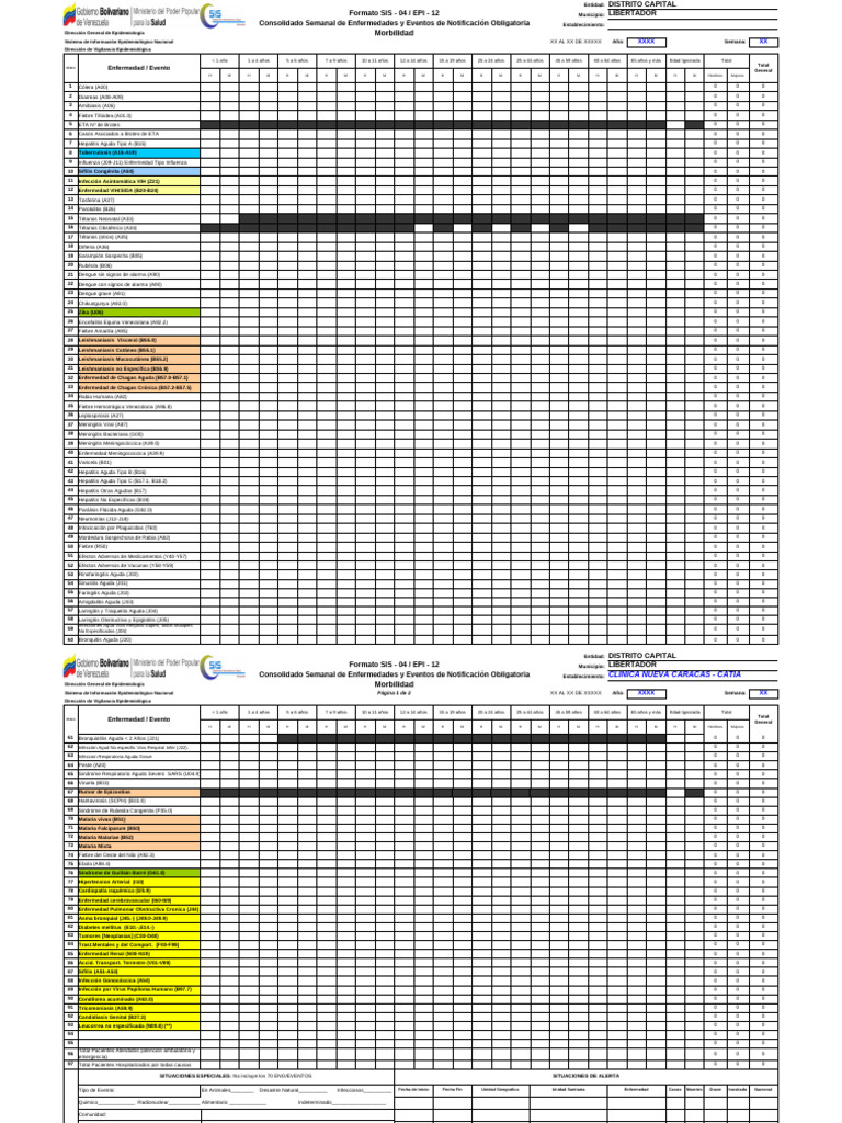 Formato SIS - 04 EPI - 12 | PDF | Ciencias de la Salud | Medicina CLINICA