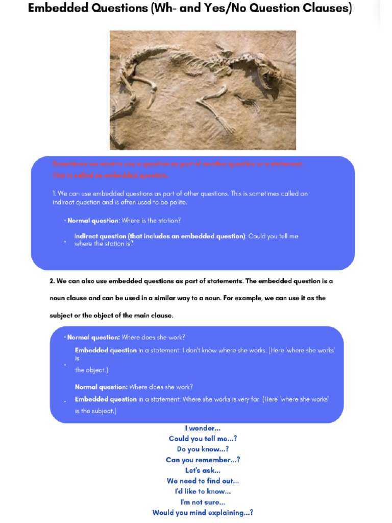 Embedded Questions PDF | PDF