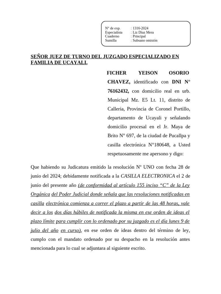 Subsano Omision - Yeison | PDF | Gobierno | Justicia