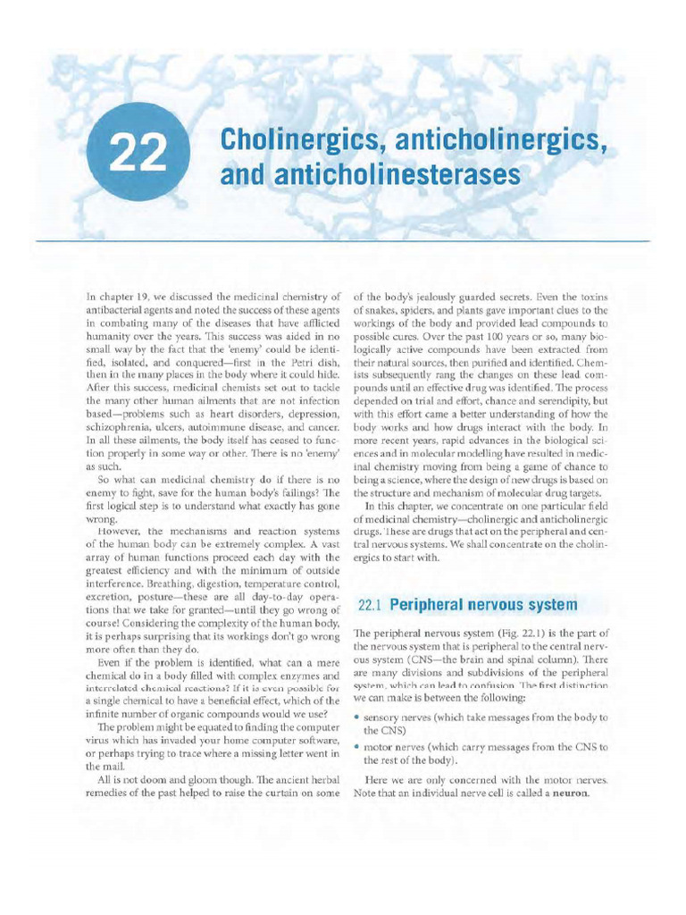 Capítulo 22 Patrick | PDF