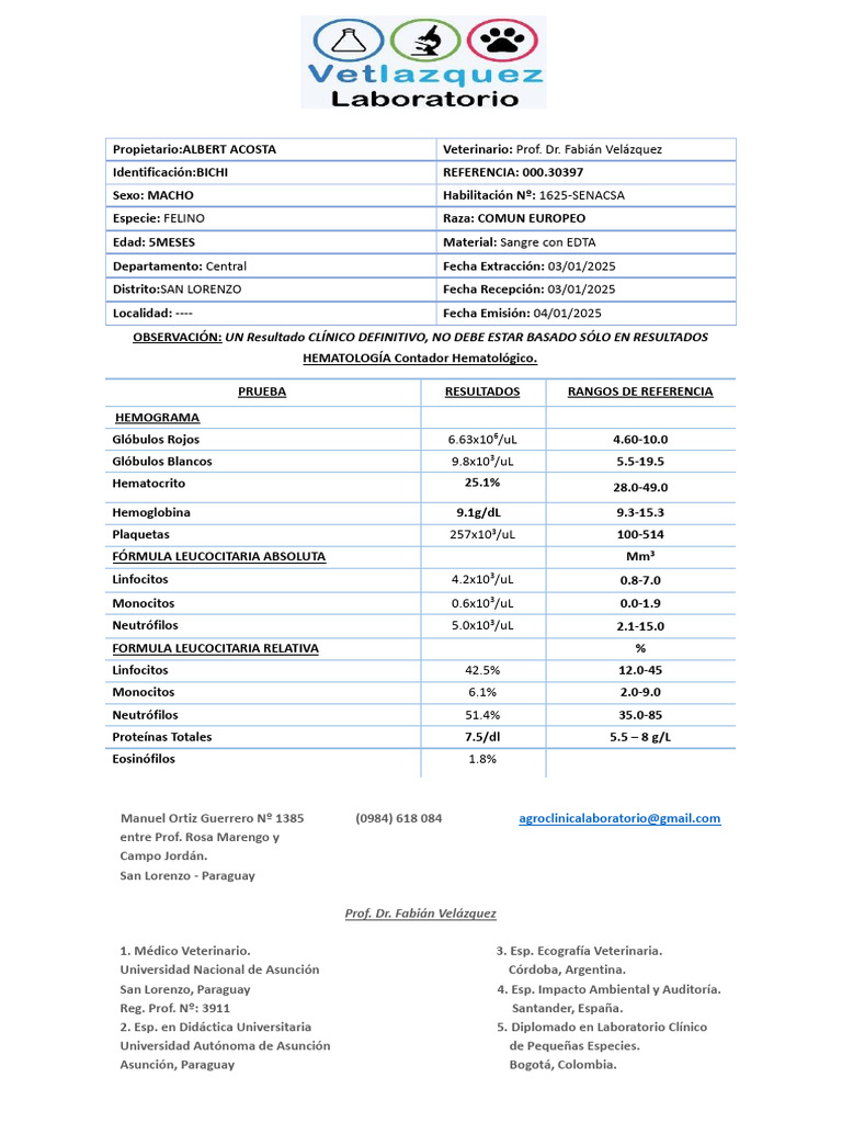 Hemograma BICHI | PDF | Hematología | Leucocito