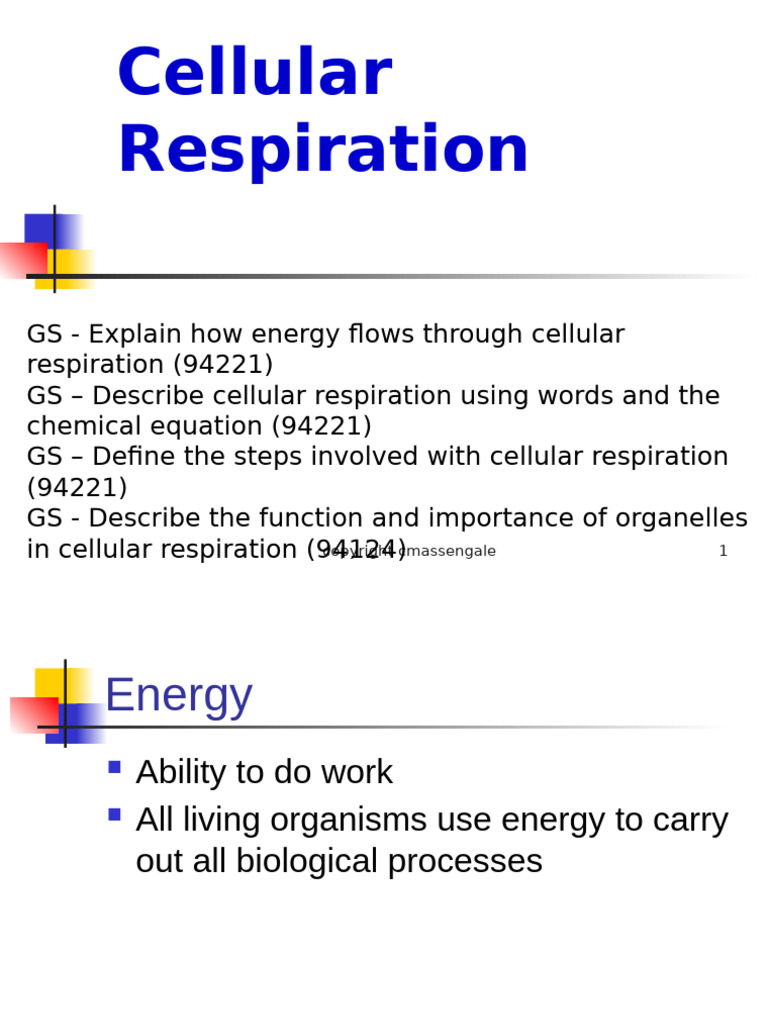 Cell Respiration | PDF | Cellular Respiration | Adenosine Triphosphate