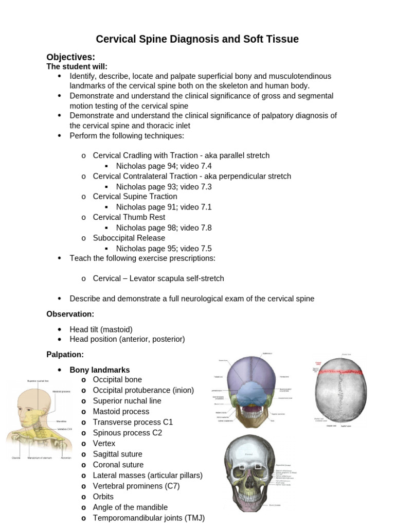 OPP Lab 12-13 Cervical Spine Dx and Tx-1 (2) | PDF | Anatomical Terms Of Motion | Elbow