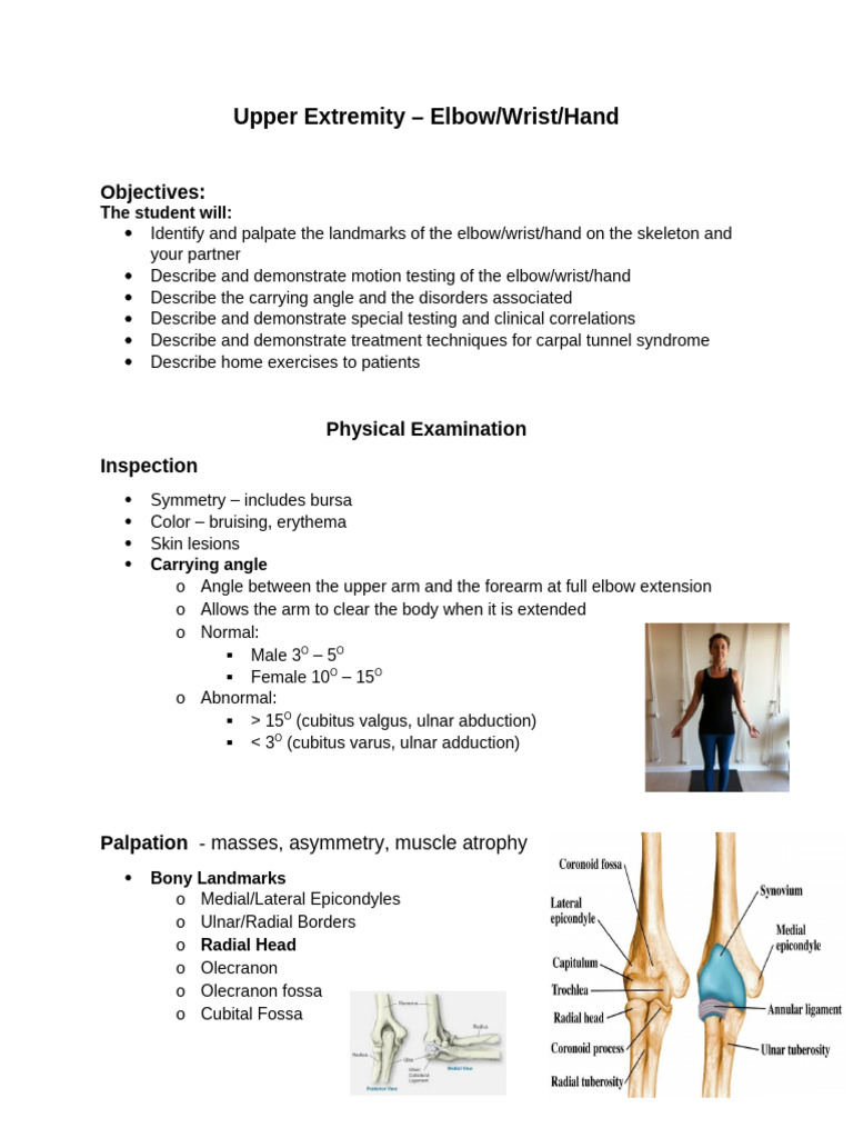 OPP Lab 15 Upper Extremity 2 Elbow-Wrist-Hand-1 | PDF | Elbow | Hand