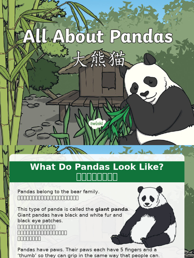 T TP 2549710 All About Pandas English Mandarin Chinese - Ver - 2 | PDF ...