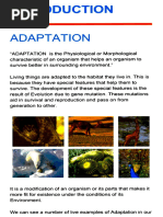 Aerial Adaptations in Plants and Animals | PDF | Habitat | Plants