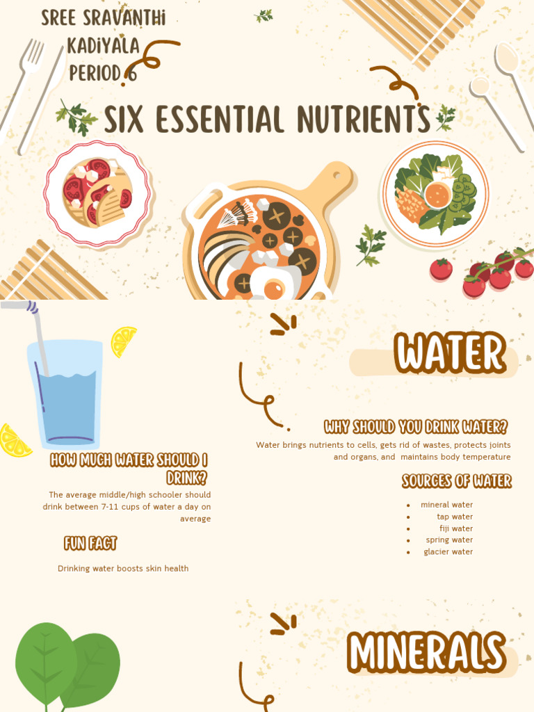 Six Essential Nutrients | PDF | Carbohydrates | Fat