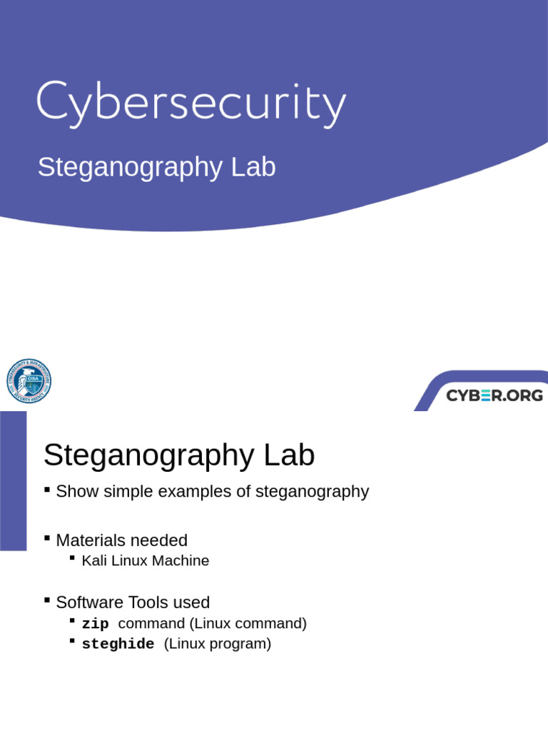 Lab - Steganography | PDF | Zip (File Format) | Computer File