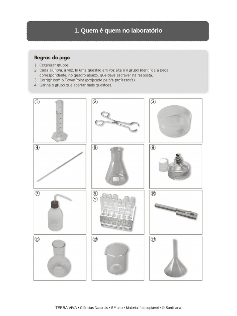 Santillana CN5 1 Quem e Quem No Laboratorio | PDF