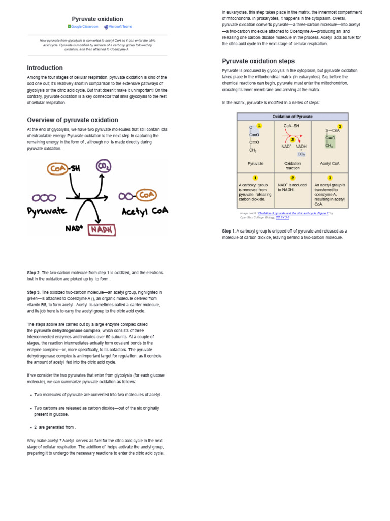 Pyruvate oxidation _ Cellular respiration (article) _ Khan Academy ...