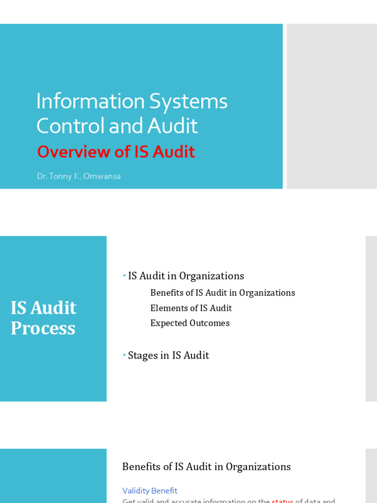 Audit Overview | PDF | Audit | Internal Control
