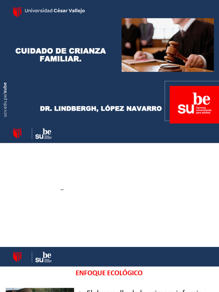 D° F. CH - 15. Cuidado de Crianza Familiar | PDF | Aprendizaje | Abuso ...