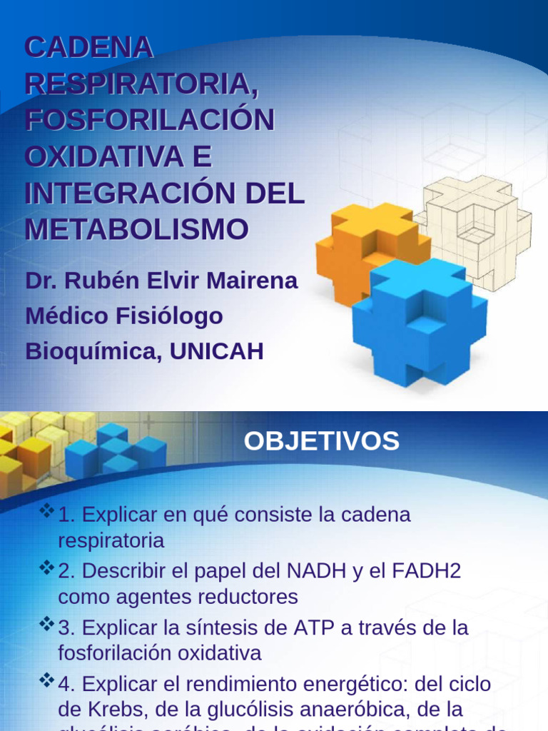 Cadena Respiratoria, Fosforilaciã N Oxidativa e Integraciã N Del Metabolismo Iii Per 2024 | PDF ...