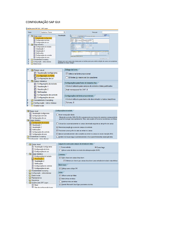 Configuração Sap Gui | PDF