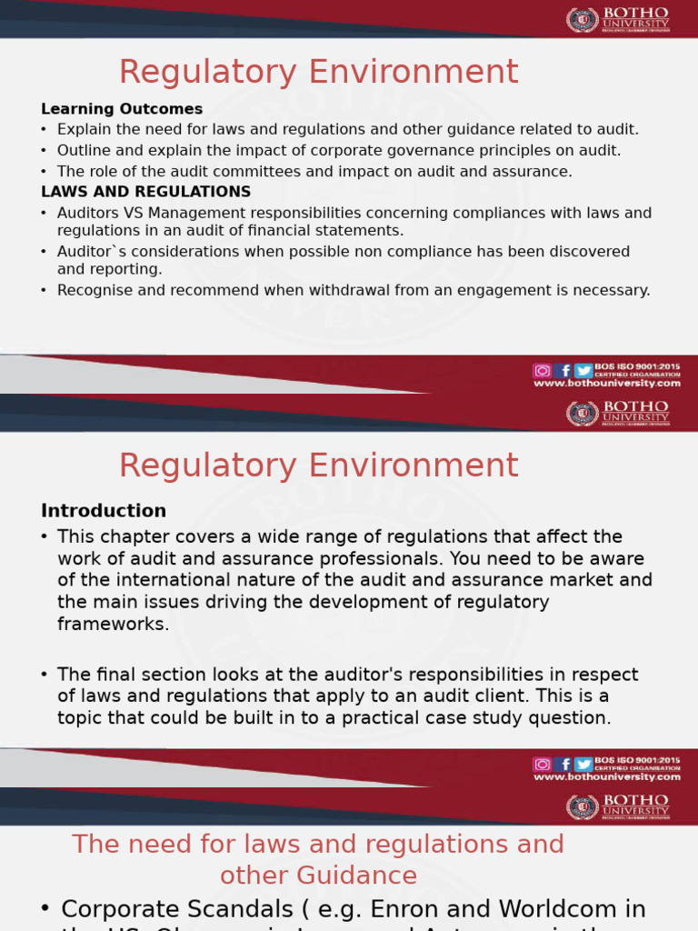 Regulatory Environment | PDF | Audit | Audit Committee
