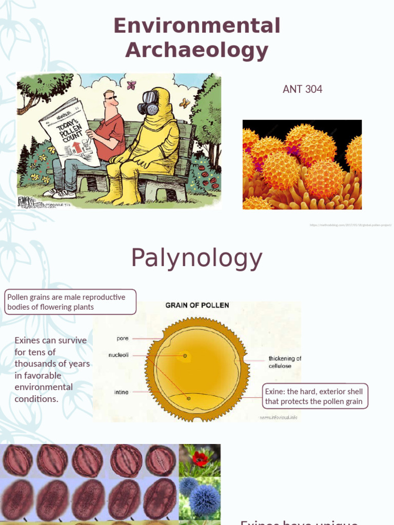 Pollen Analysis in Environmental Archaeology | PDF | Earth Sciences ...