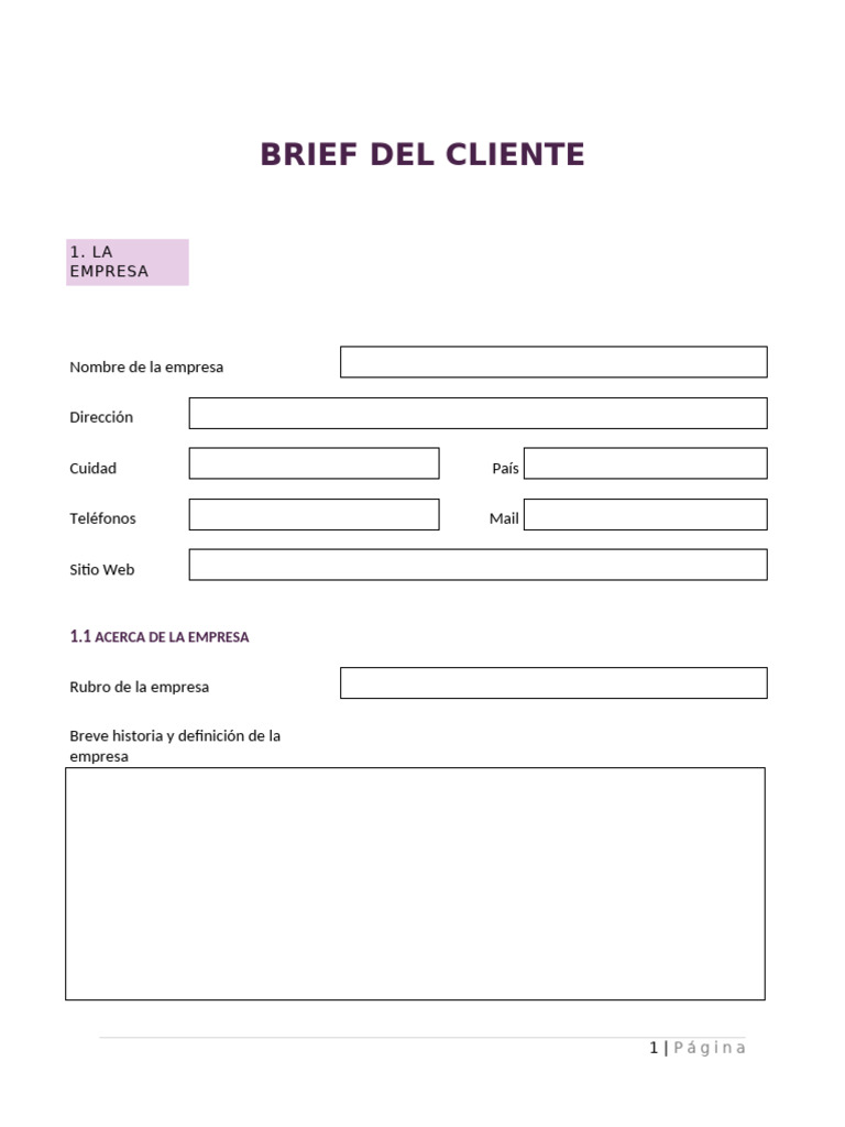 Brief Del Cliente | PDF | Business | Publicidad