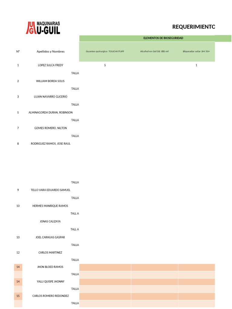 FORMATO DE REQUERIMIENTO DE EPP- AGOSTO CORIHUARMI | PDF | Ropa | Moda