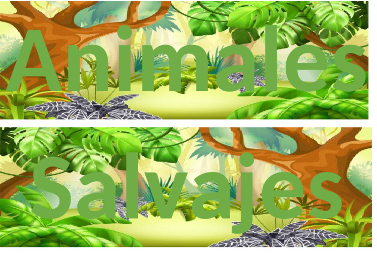 Animales Salvaje Titulo | PDF