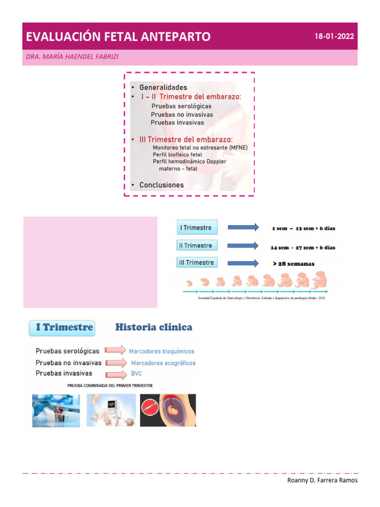 Evaluación Fetal Anteparto: Guía Completa | PDF | Parto | Feto