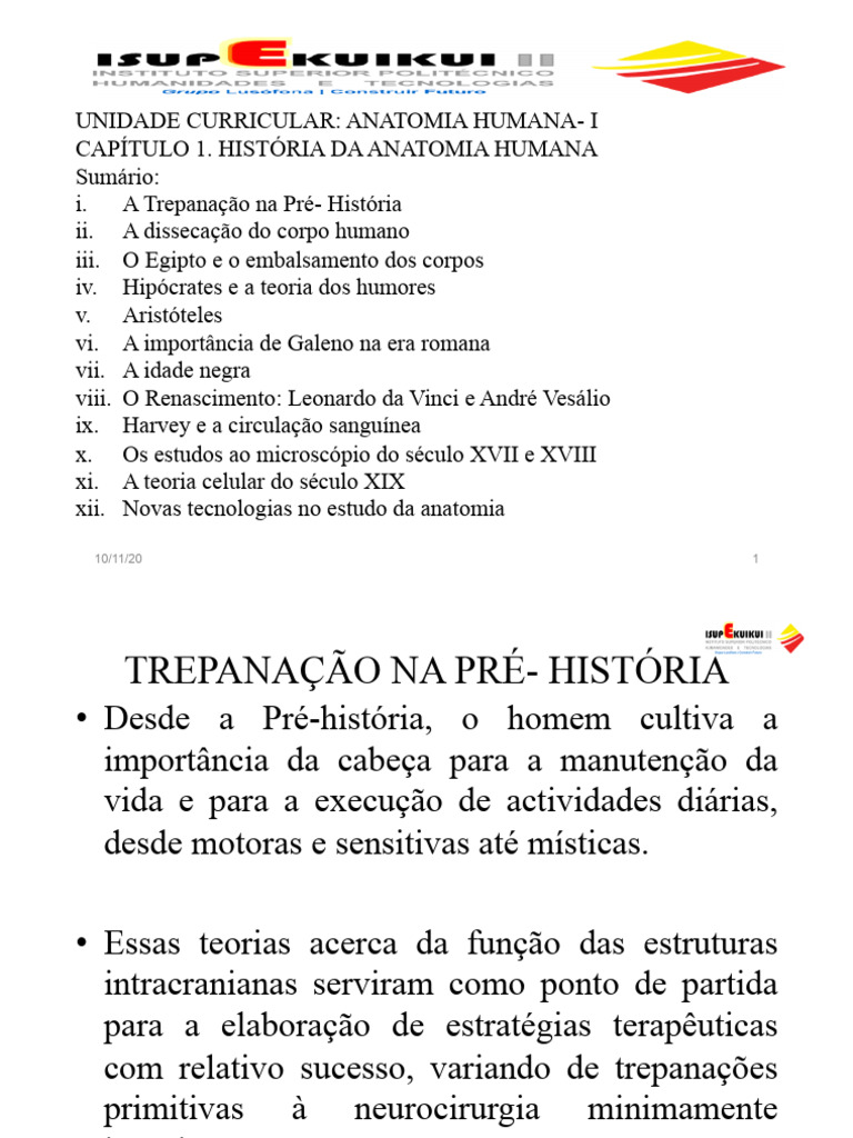 Anatomia Humana I História Da Anatomia Prof Almeida Chitungo Pdf