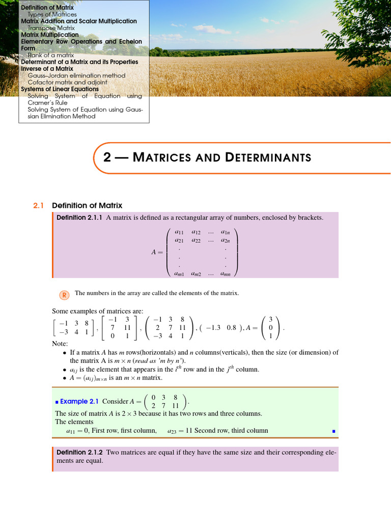 App_Mathematics_I_Chapter_2 | PDF | Matrix (Mathematics) | Determinant