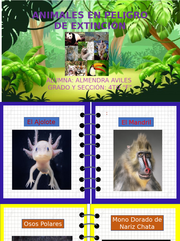 Animales en Peligro de Extinción | PDF