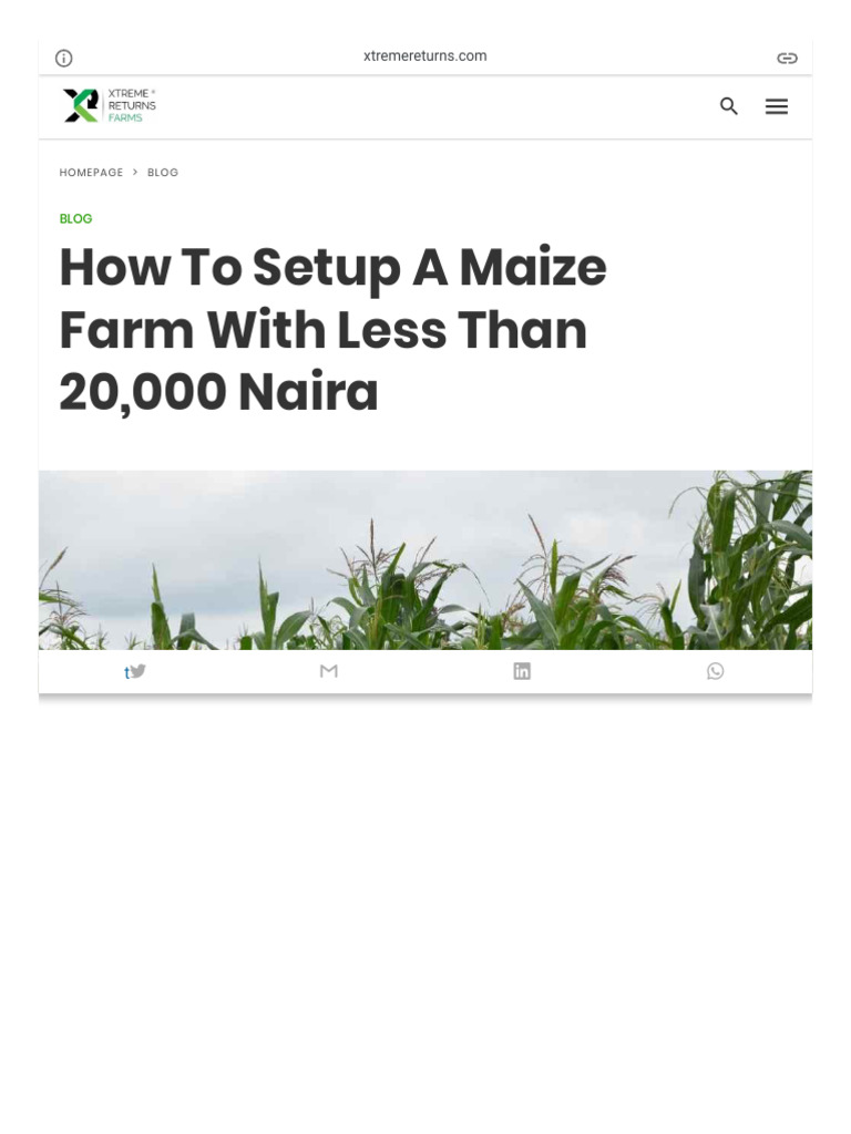 How To Setup A Maize Farm With Less Than 20,000 Naira - Xtreme Returns | PDF