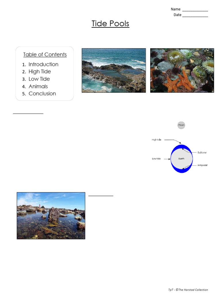 Understanding Tide Pools and Their Life | PDF | Physical Oceanography | Oceanography
