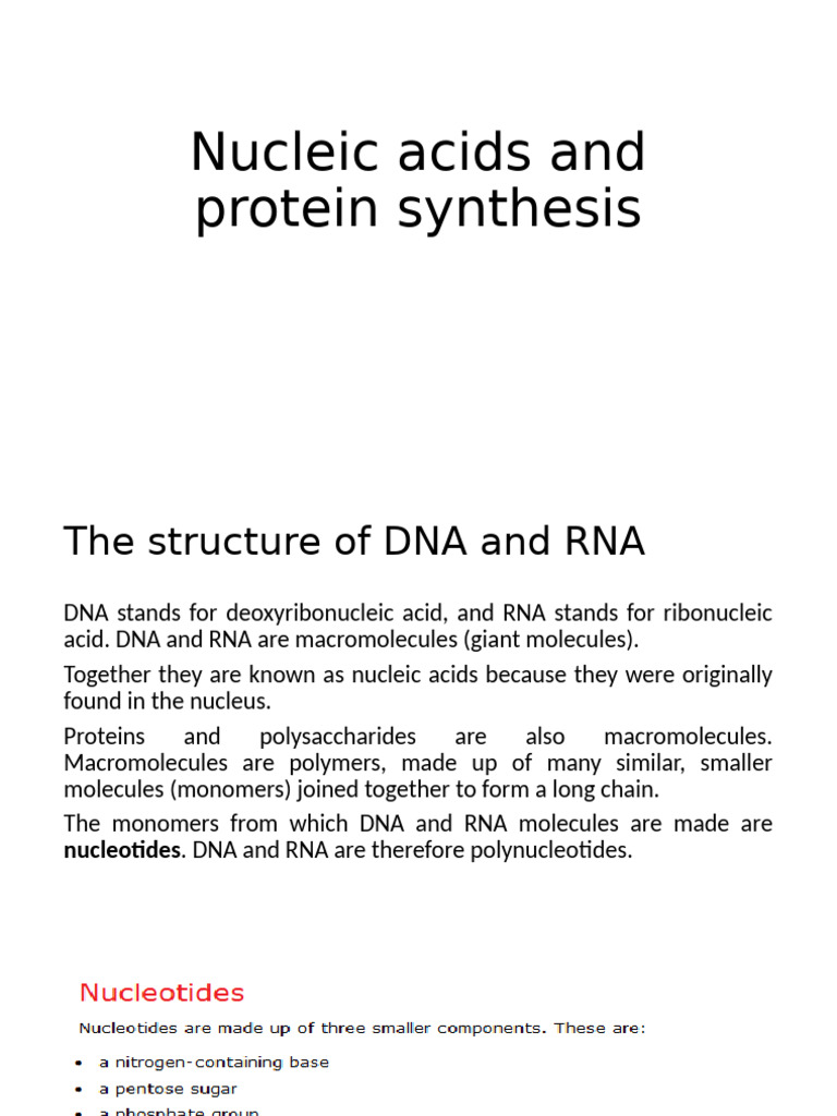 Nucleic Acids and Protein Synthesis 1 | PDF | Translation (Biology) | Rna