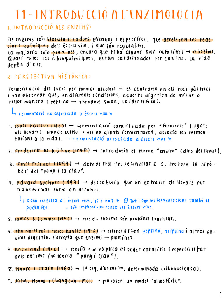 Apunts Enzimo Tema 1 | PDF