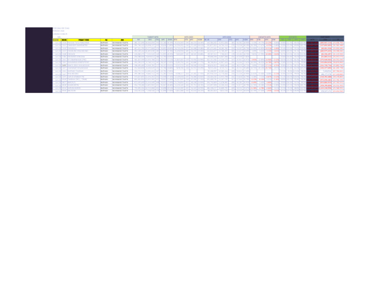 Cianjur Branch Sales Report | PDF