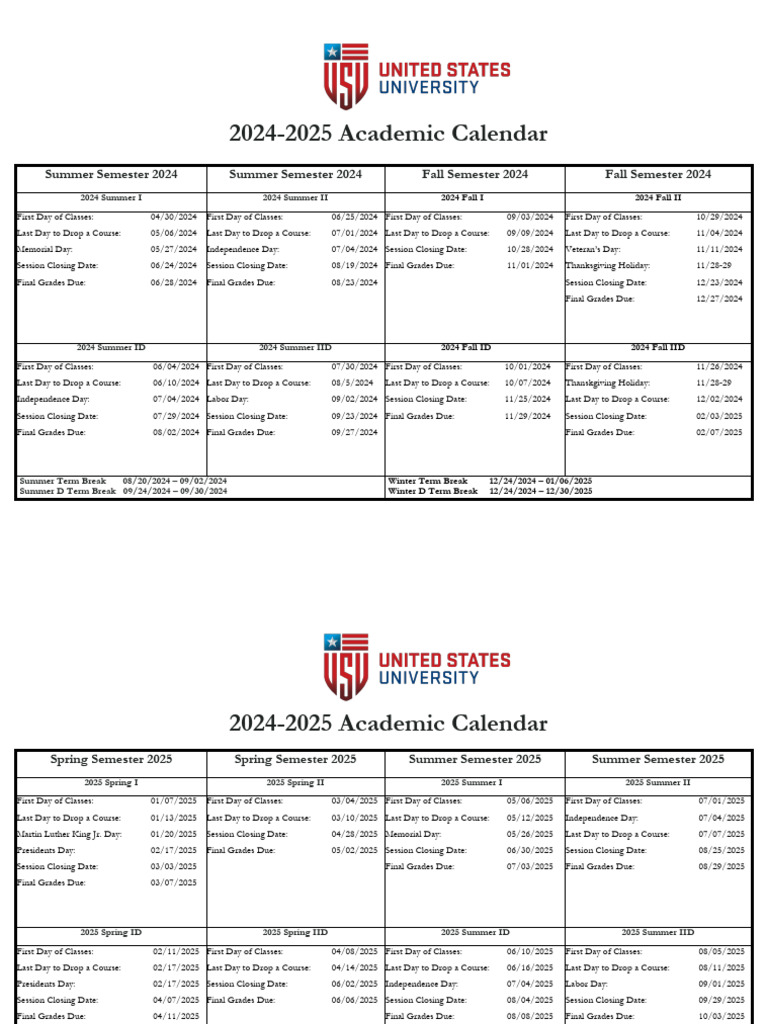 2024-2025 Academic Calendar Overview | PDF | Academic Term | Social ...