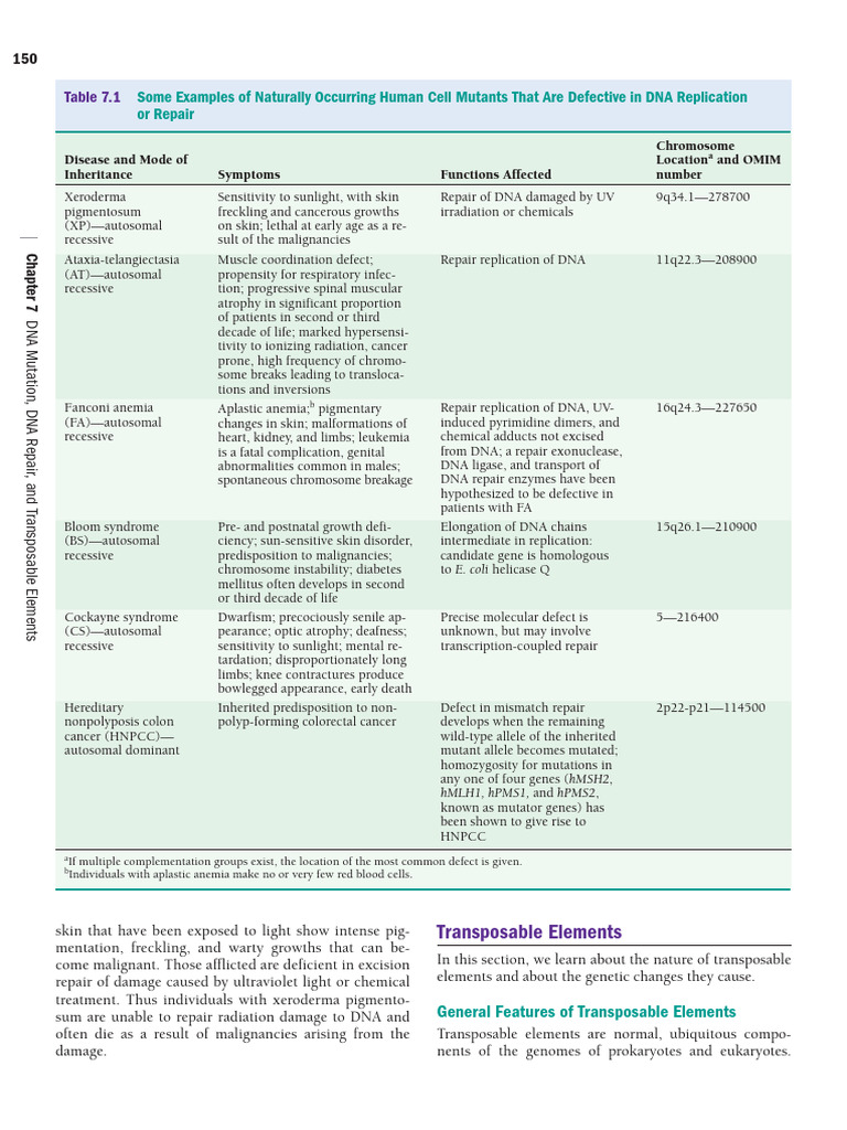 transposable 2 | PDF | Transposable Element | Genome