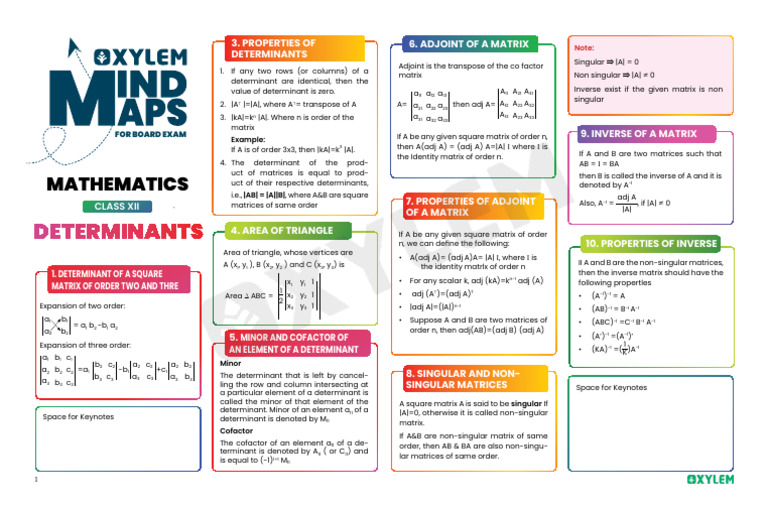 Determinants: Mathematics | PDF | Matrix (Mathematics) | Determinant