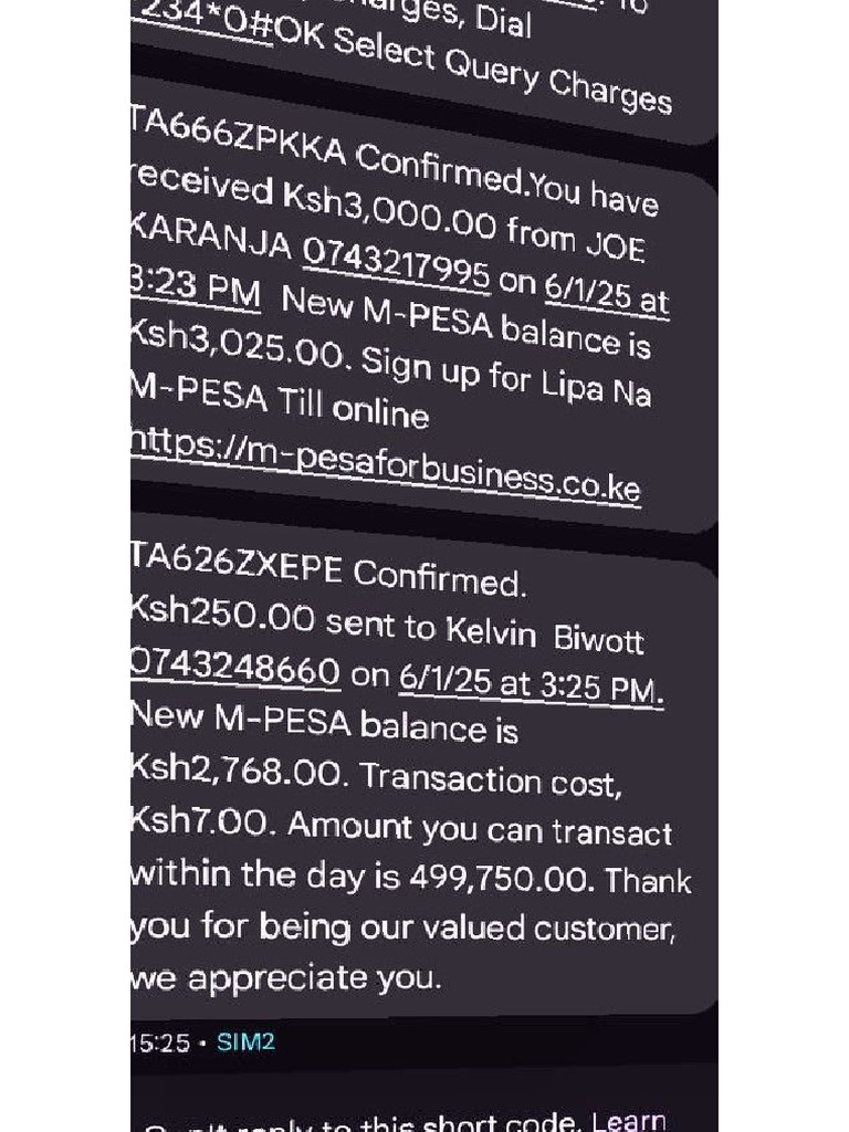 PDFReader 20250106 2 | PDF