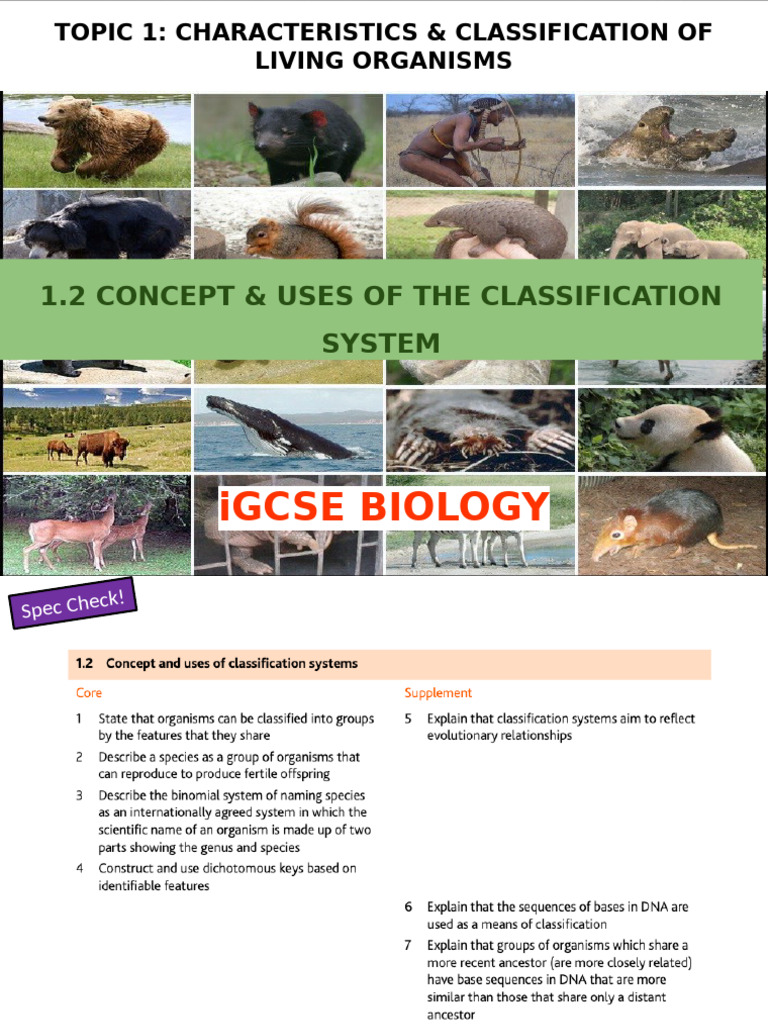 Biology Igcse TOPIC 1.2 | PDF | Taxonomy (Biology) | Species