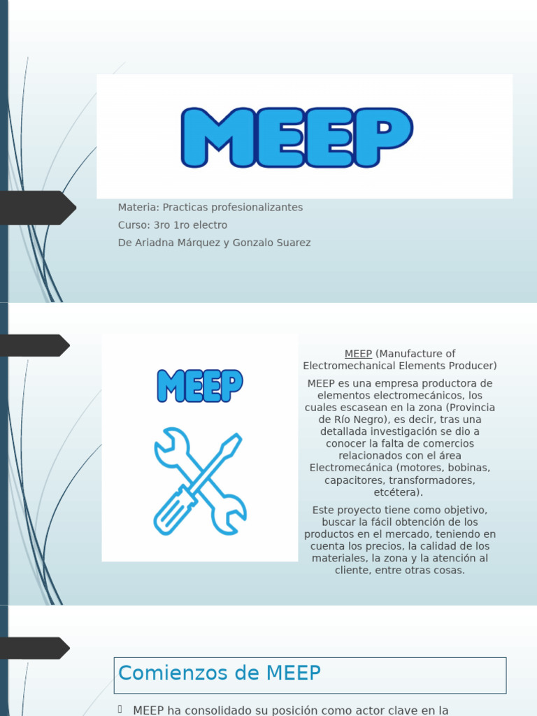 MEEP | PDF | Marketing | Logística
