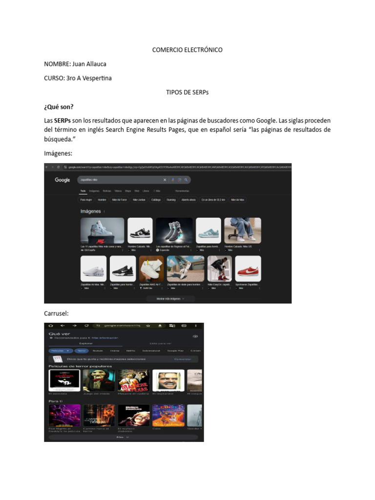 COMERCIO ELECTRÓNICO SERPs | PDF