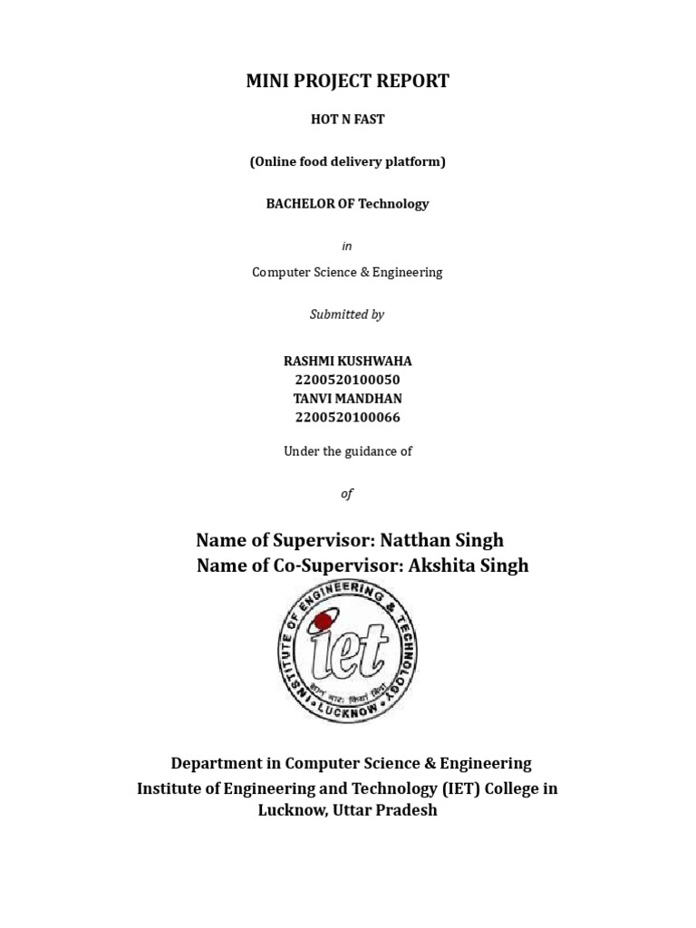 Mini - Project (1) (AutoRecovered) | PDF | Usability