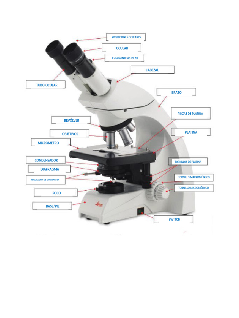 Partes Del Microscopio - Lab | PDF