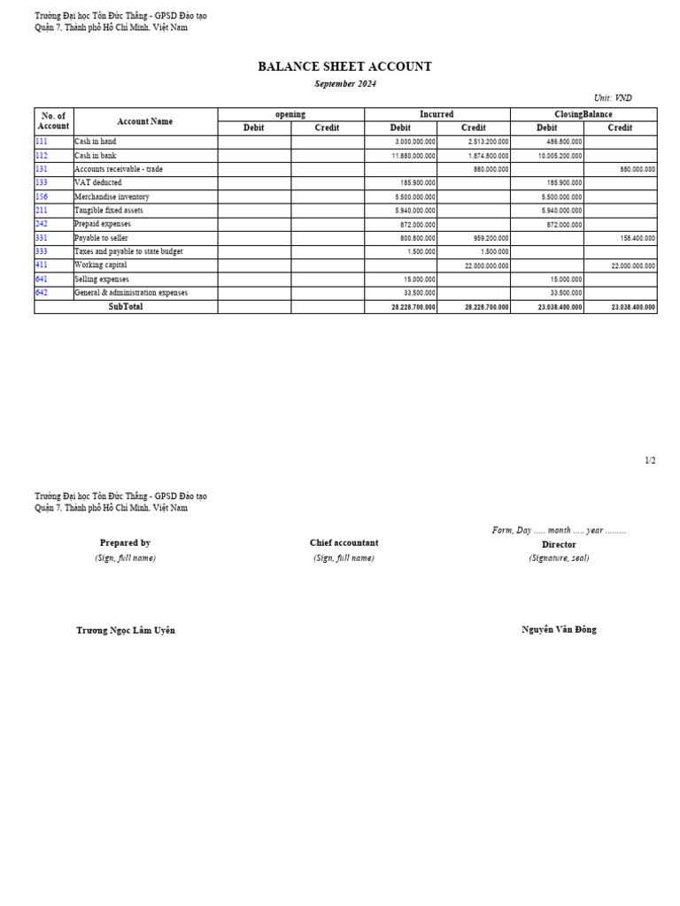 3.Balance_sheet_accounts | PDF