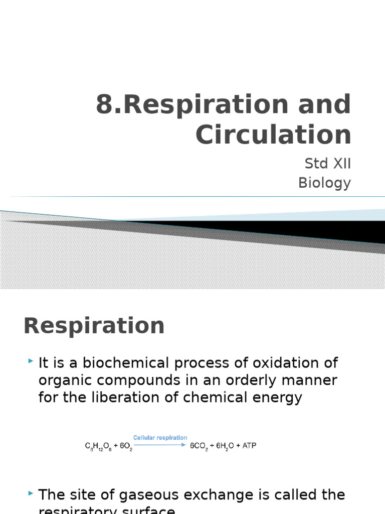 Respiration and Circulation | PDF | Respiratory System | Lung